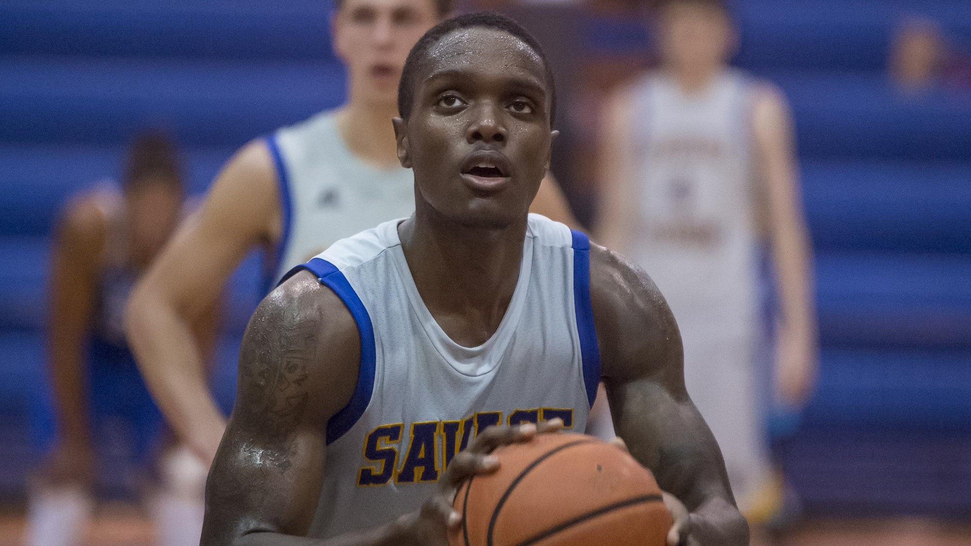 Anton Cook to Beroe - Latest Basketball News